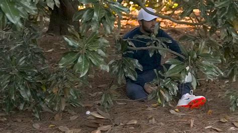 How Scheffler Ended Up Sitting In The Bushes At Hole 18 Stream The Video Watch Espn