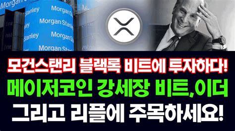 모건스탠리 블랙록 비트에 투자하다 메이저코인 강세장 비트이더 그리고 리플에 주목하세요 Youtube