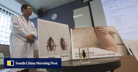 Chinese University Of Hong Kong Researchers Find ‘most Complete Genome