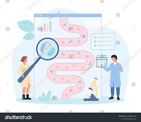 Healthy Gut Microbiome Vector Illustration Cartoon Stock Vector