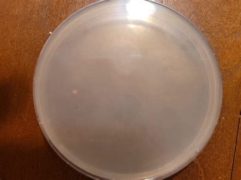 Crispr Experiment Finish Rbiohackers