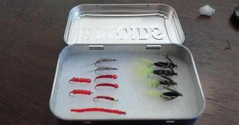 Shellcracker Flies I Guess Imgur