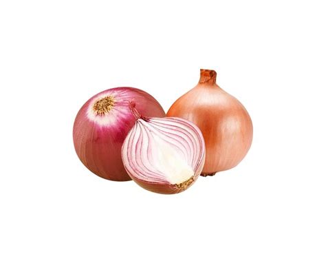 Cebolla Allium Cepa Bulb La Cebolla Es Una Verdura O Especia Que Es La