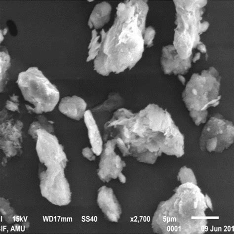Scanning Electron Micrographs Of Bentonite At 2700 Magnification Factor