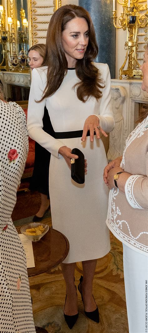 Elegant Black And White Dress