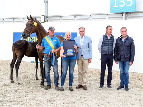 Toèmme De Regor Z En Codex Diaz Z Leveren Winnaars Bij Z Festival Equnews Belgium