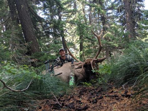 Bowtech Realm Sr6 Field Review Specialty Adventure Services