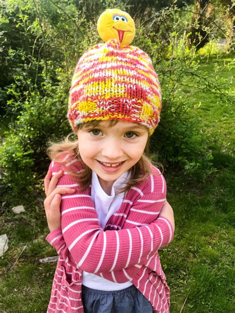 Big Bird Knit Hat Bepatterns