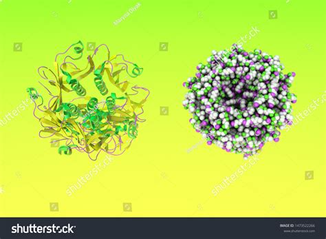 Molecular Crystal Structure Typhoid Toxin Produced Stock Illustration 1473522266 Shutterstock