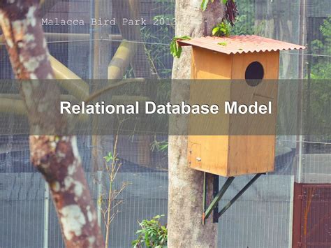 Week 2 Database System Development Lifecycle Oldpptx