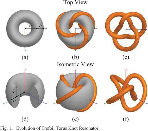 Torus Knot