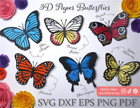 3d Layered Butterfly Svg Templates 6 Paper Realistic Butterflies
