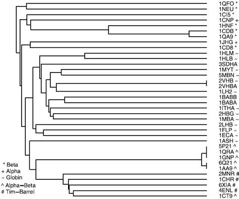 Figure S6 The Phylogenetic Tree Of 36 Protein Sequences Constructed In Download Scientific