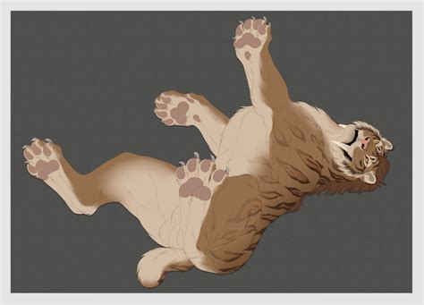 Rule 34 Actual Smilodon Actual Animal Genitalia Balls Belly Brown