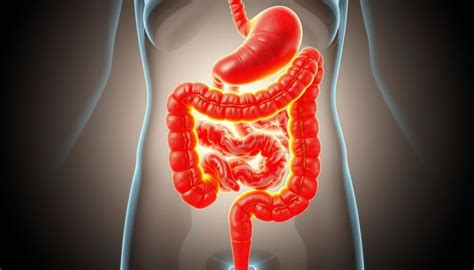 Por Que A Colonoscopia é Essencial Após Os 50 Anos