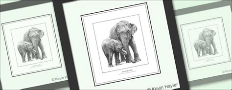 Does Art Fade Does Pencil Fade Do Paintings Fade