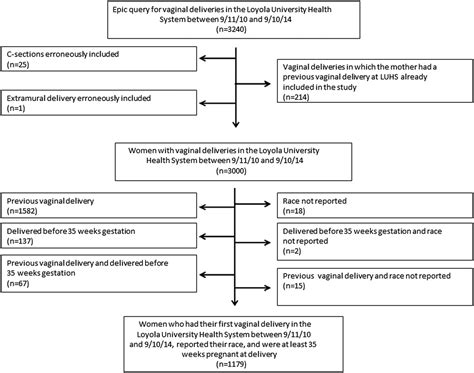 Racial Ethnic Differences In Perineal Lacerations In A Diver Urogynecology