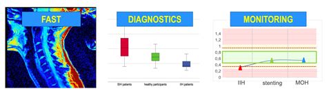 Research Universitätsklinikum Freiburg