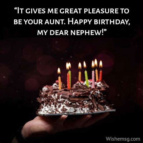 200nephew Birthday Quotes From Aunt Wishes Wishemsgcom