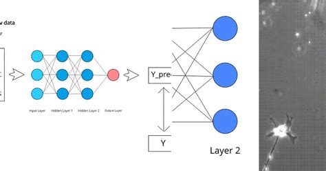 List Neural Networks Curated By Pratiksha Shirore Medium