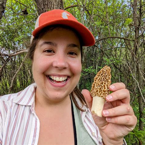 Morel Mania — Four Season Foraging