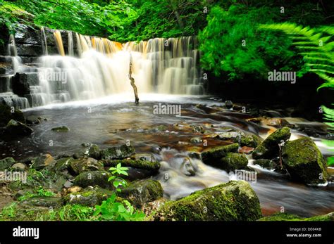 Wasserfall Wald 2 Stockfotografie Alamy