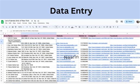 Do Data Entry Typing Work In Excel Spreadsheet By Akternasrin Fiverr