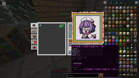 1144 Tweakeroo 一个多功能实用mod 安利and汉化 Nyaacat Community