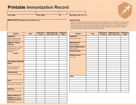 10 Printable Immunization Records Card Template Room