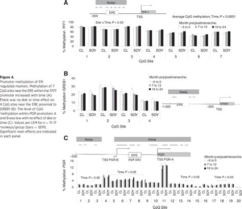 Figure 1 From Effects Of Pubertal Exposure To Dietary Soy On Estrogen