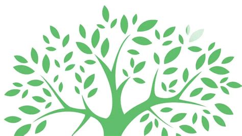 Green Genie Agrisciences The City Of Groveland Business Directory