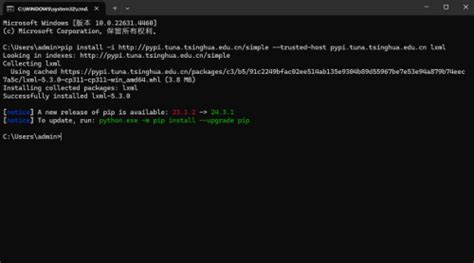 Python国内镜像源及pip设置镜像源最新教程 论剑阁 崔圣杰博客