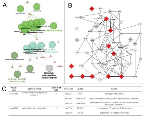 Bioinformatic Analysis Of Identified Biomarkers A Gene Ontology