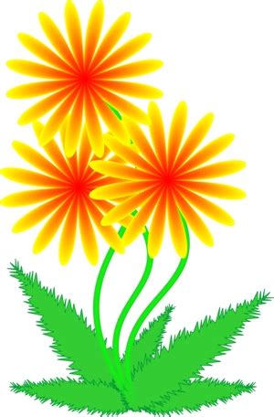 Menggambar Cepat Dengan Distortion Tool Belajar CorelDRAW