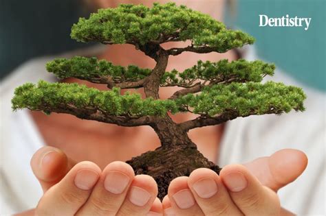 How To Manage Root Caries In Older Patients Dentistry Posted On The