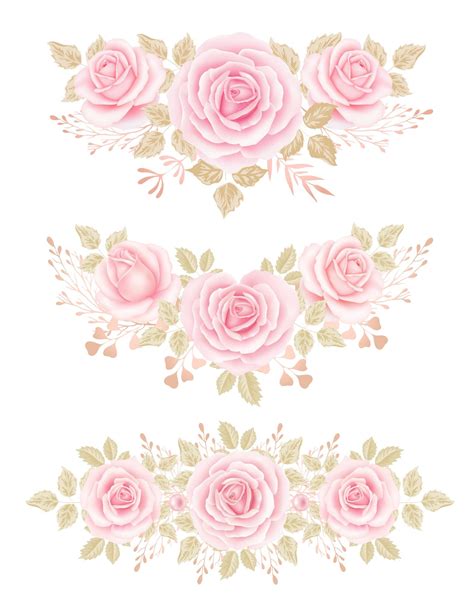 Pink Rose Floral Borders Elegant Vector Illustrations For Design