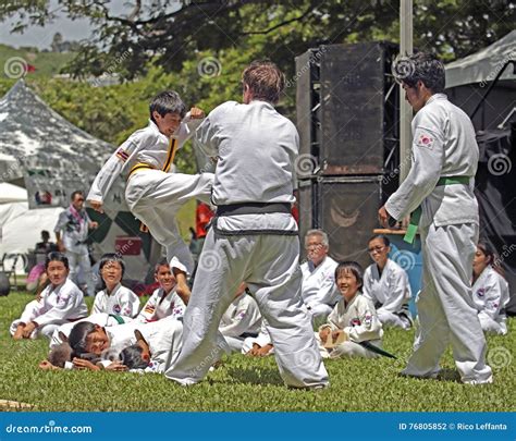 Taekwondo Editorial Photography Image Of Aloft Female 76805852