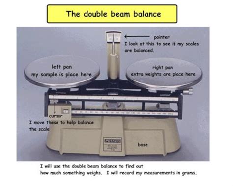 Double Pan Balance Labeled Parts Triple Beam Balance Function Parts