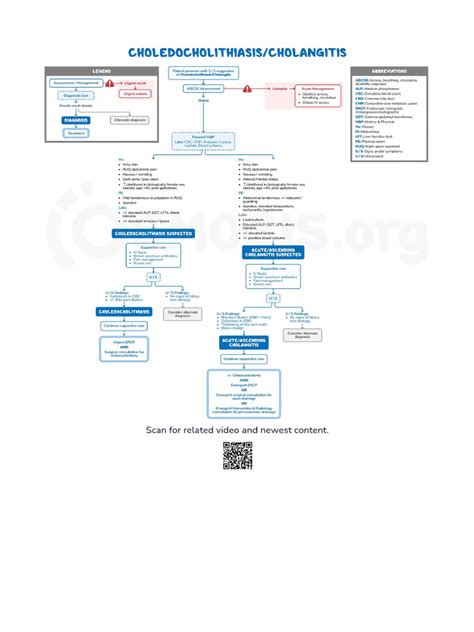 Choledocholithiasis Pdf