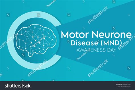 492 Imagens De Brain Tissue Damage Imagens Fotos Stock E Vetores