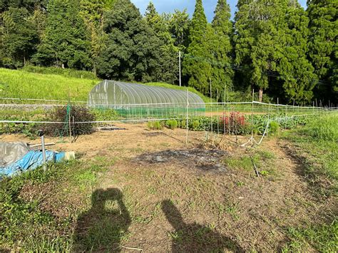 30年ぶりの再会（北野収） 獨協大学 外国語学部 交流文化学科