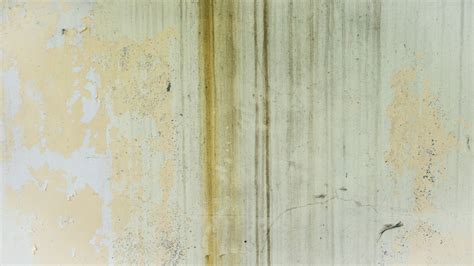 무료 이미지 지저분한 조직 무늬 페인트 타일 더러운 그런지 거칠게 노랑 표면 껍질 배경 디자인 견목