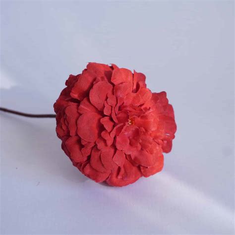 Flor Flamenca Carolina Ana Campos Collection