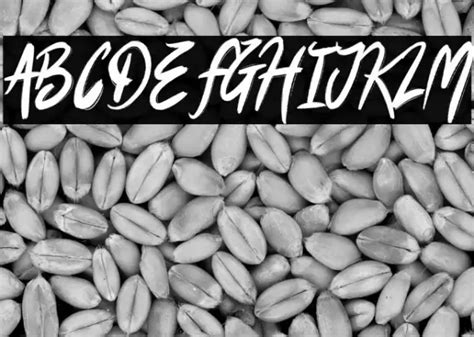 Perfectly Imperfect Font Free Download Ttfotf Ffonts