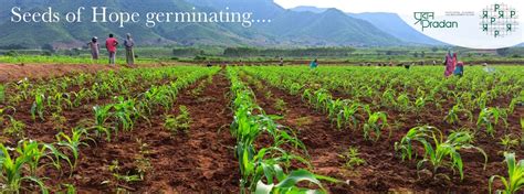 Professional Assistance For Development Action Pradan Linkedin