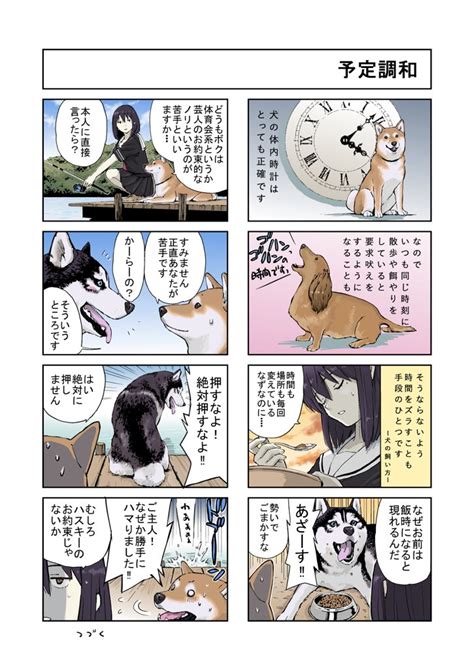 世界の終わりに柴犬と 柴犬 4コマ漫画 世界の終わりに柴犬と 旅する話 95 石原 雄の漫画