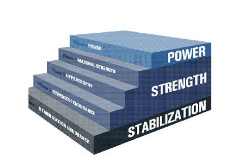 Phase 3 Of The Nasm Opt Model For Bodybuilders