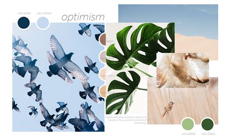 Optimism Behance