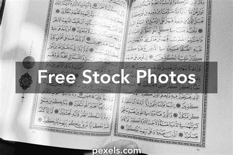 Colloring Pages Photos Download The Best Free Colloring Pages Stock
