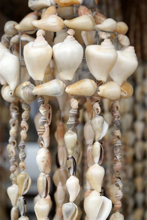 Sea Shell Decorations Photograph By Ali Mohamad Fine Art America